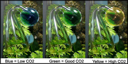 CO2 Drop Checker – My CMS
